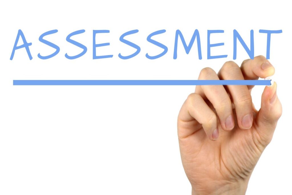 Beginning Assessment – Annabel Treshansky's Blog