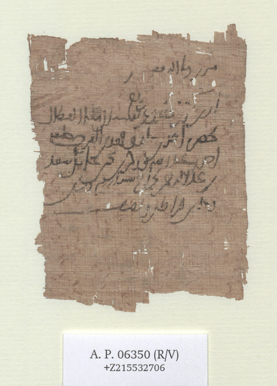 People and Money in Abbasid Egypt: A Deeper Dive into the Caliphal ...