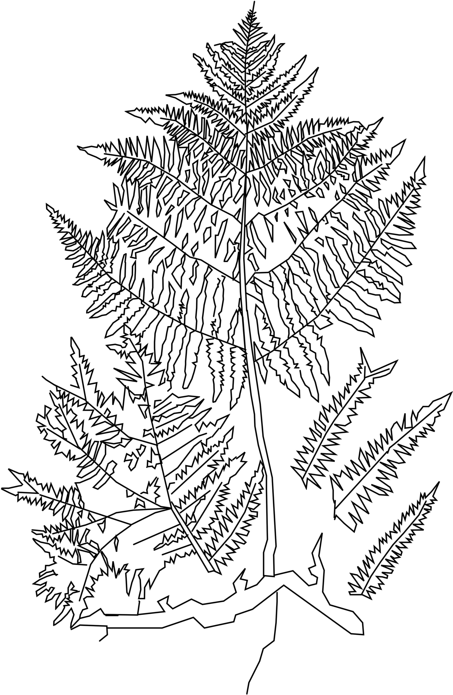 The Ferns of Great Britain and Ireland, pl.XLIV illustration ...