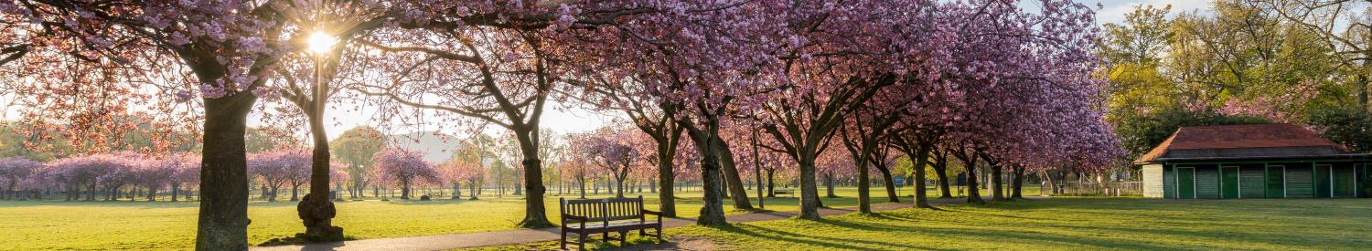 Library for Wellbeing – Library Matters: news from ECA Library