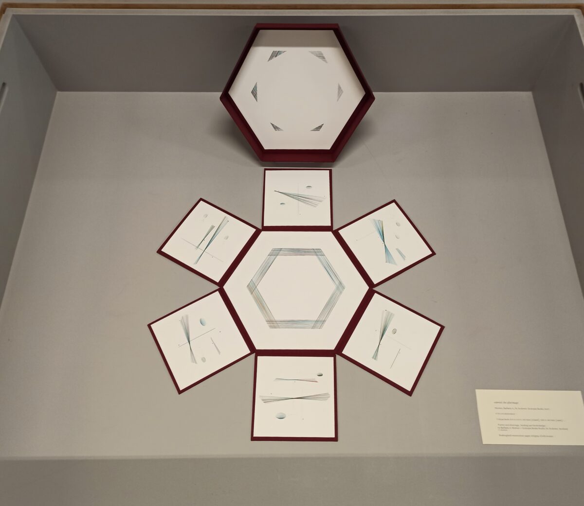 Barbara A. Morton exhibition at ECA Library: sidereal. the afterimage – Library Matters: news ...