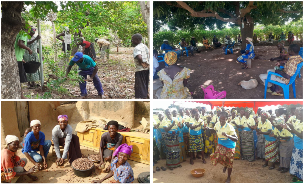 Researching with producer organisations for sustainable and equitable ...