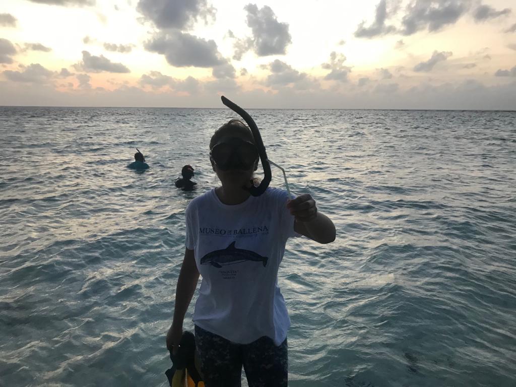 World Oceans Day: 3 Tips to protect our oceans from home – School of ...