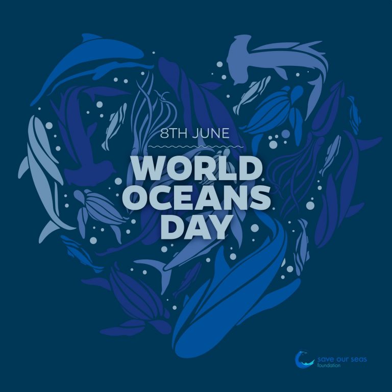 World Oceans Day: 3 Tips to protect our oceans from home – School of ...