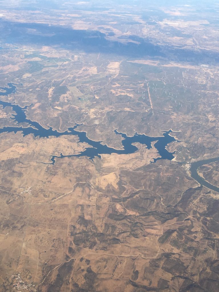 World Environment Day 2020 – School of GeoSciences Blog