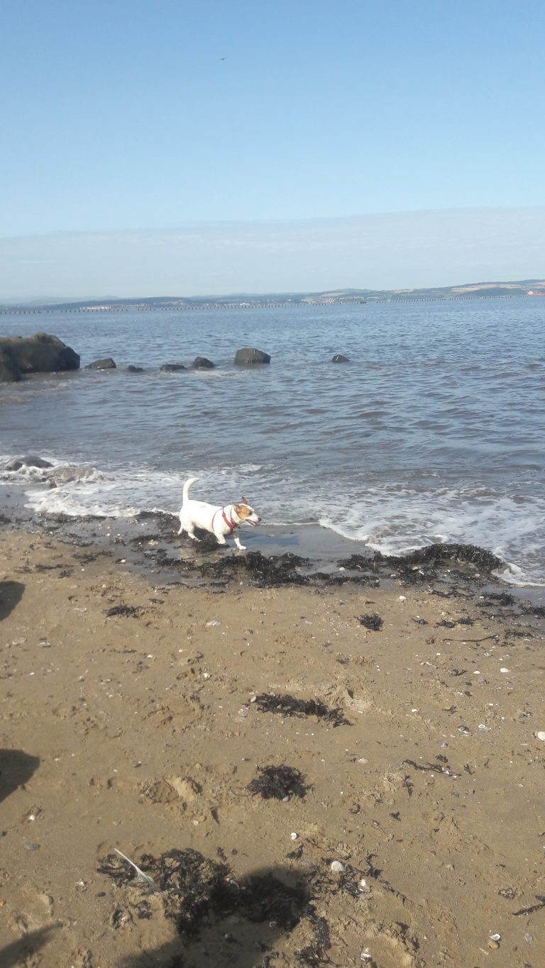 My favourite beaches in Edinburgh – School of GeoSciences Blog
