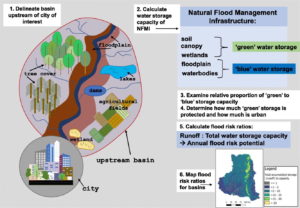 Natural Flood Management Seminar by Dr Ian Pattison – Working ...