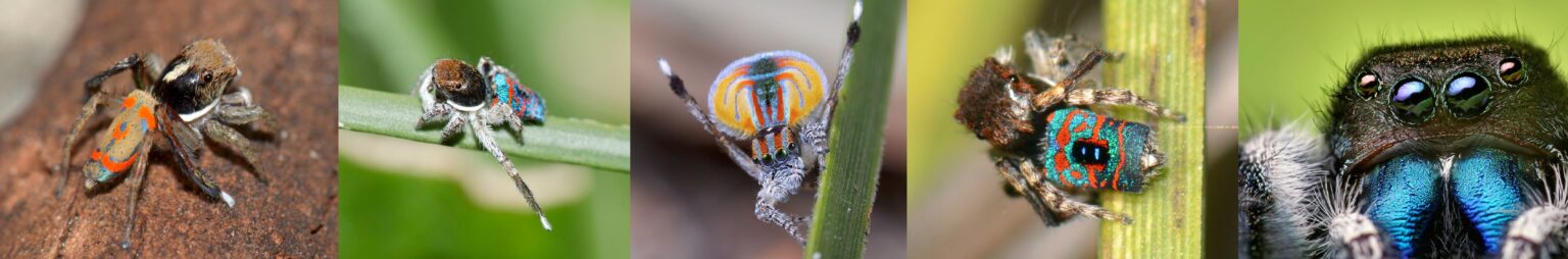 Geology Poems from the Here and the Beyond – Working & Learning at the ...