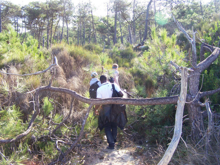 Sand, Sand, Sand … – Hugh’s Geophysical Blog