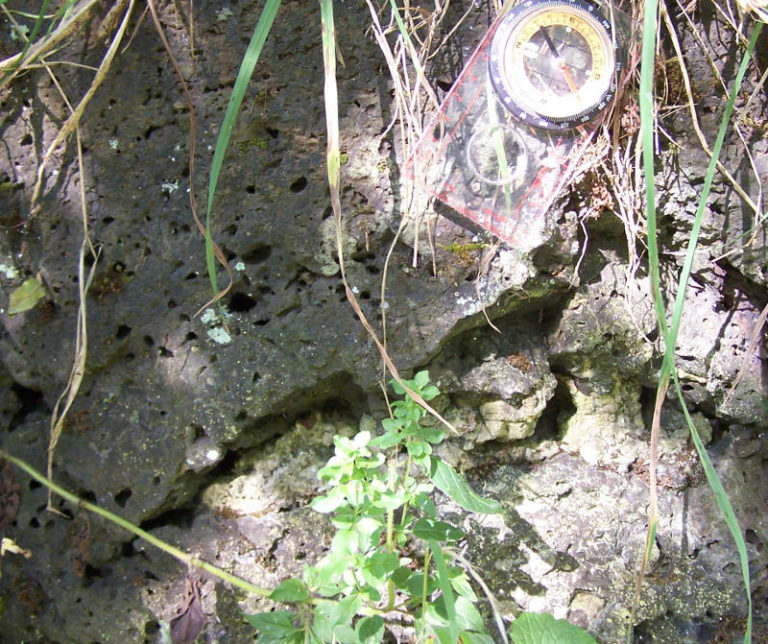 Cows, Halos, Gravity – Hugh’s Geophysical Blog