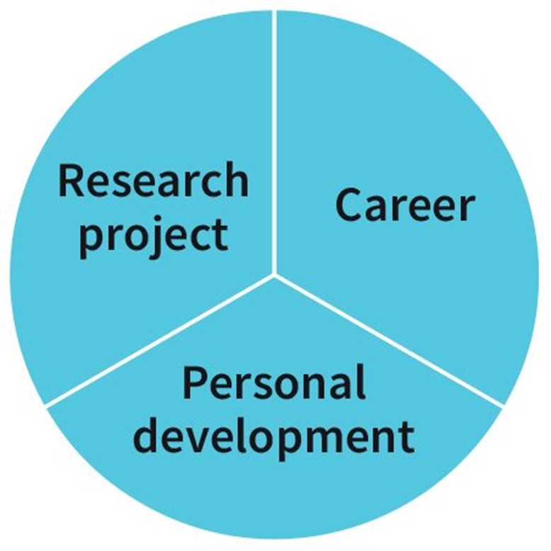 Development Needs Analysis (DNA) – iad4phd