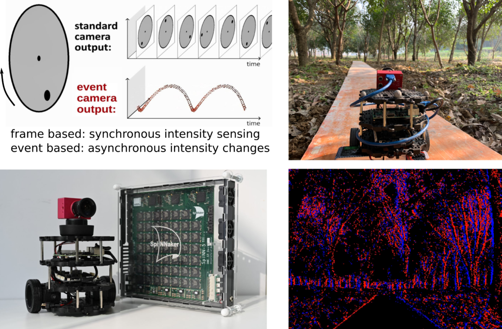 Insect Robotics Group – Building robots to understand insect behaviour