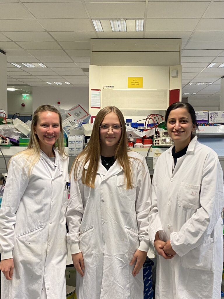 Work Experience with the Noor Gammoh Lab – Institute of Genetics and Cancer