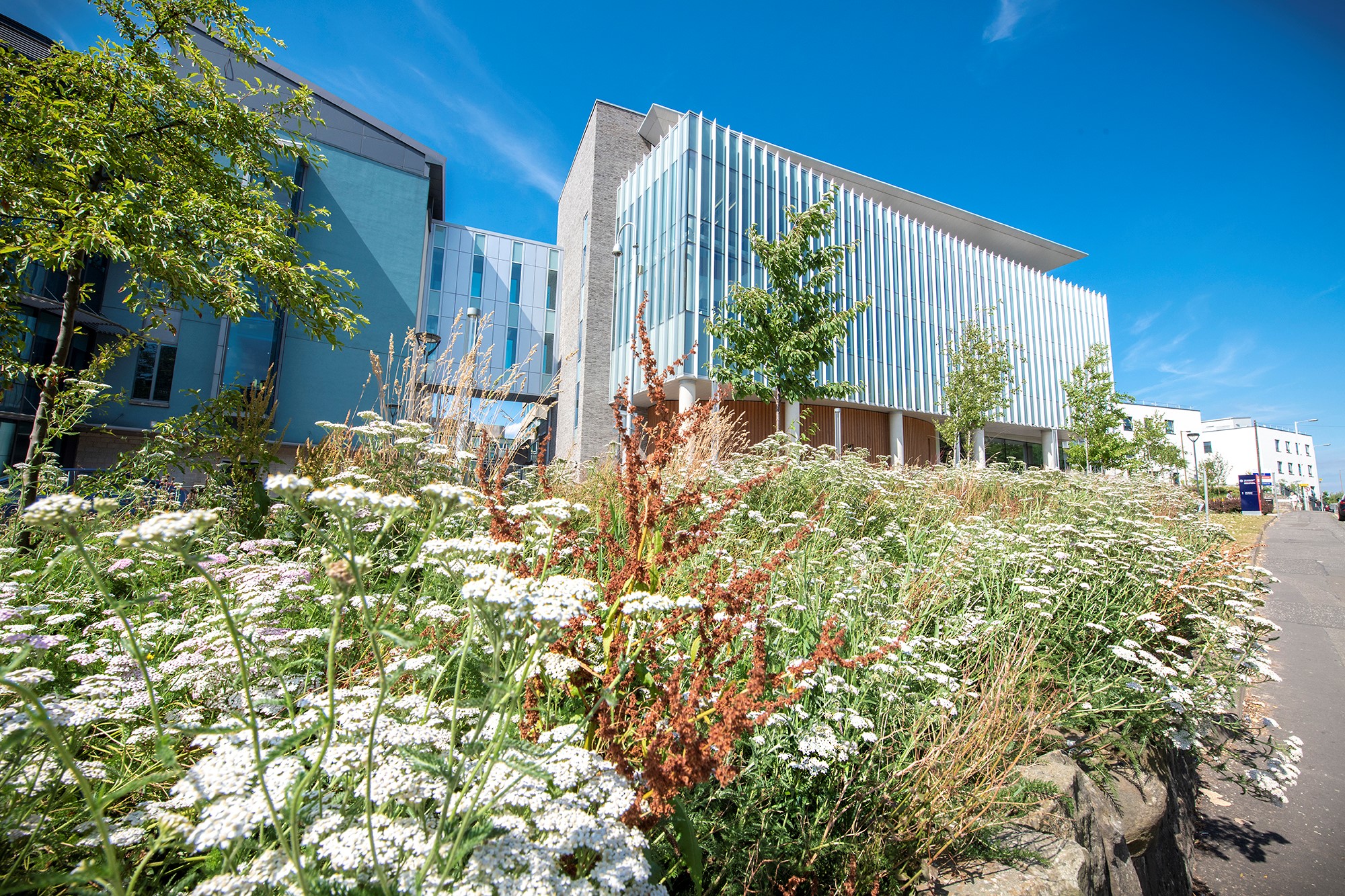 Becoming a PhD student at the IGC – Institute of Genetics and Cancer