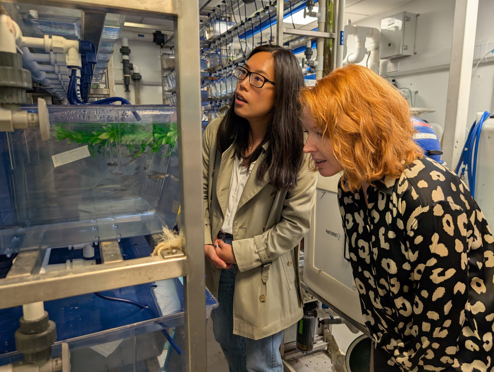 Kabuki Syndrome Foundation visits IGC to learn about research into ...