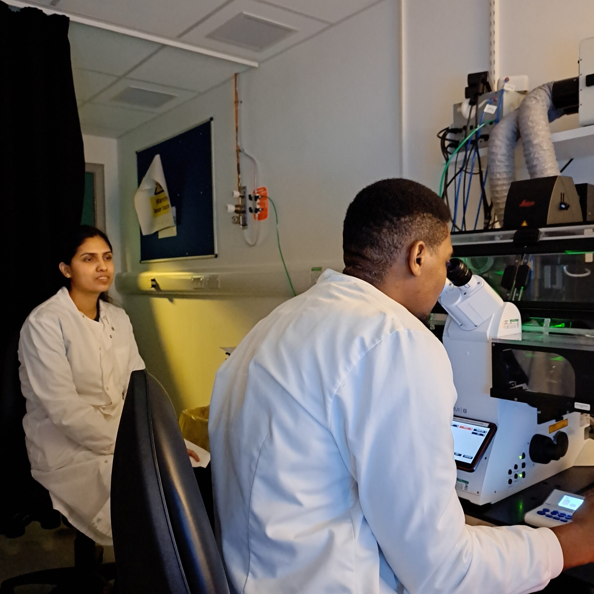 A Day in the Life: Job Shadowing at the IGC – Institute of Genetics and ...