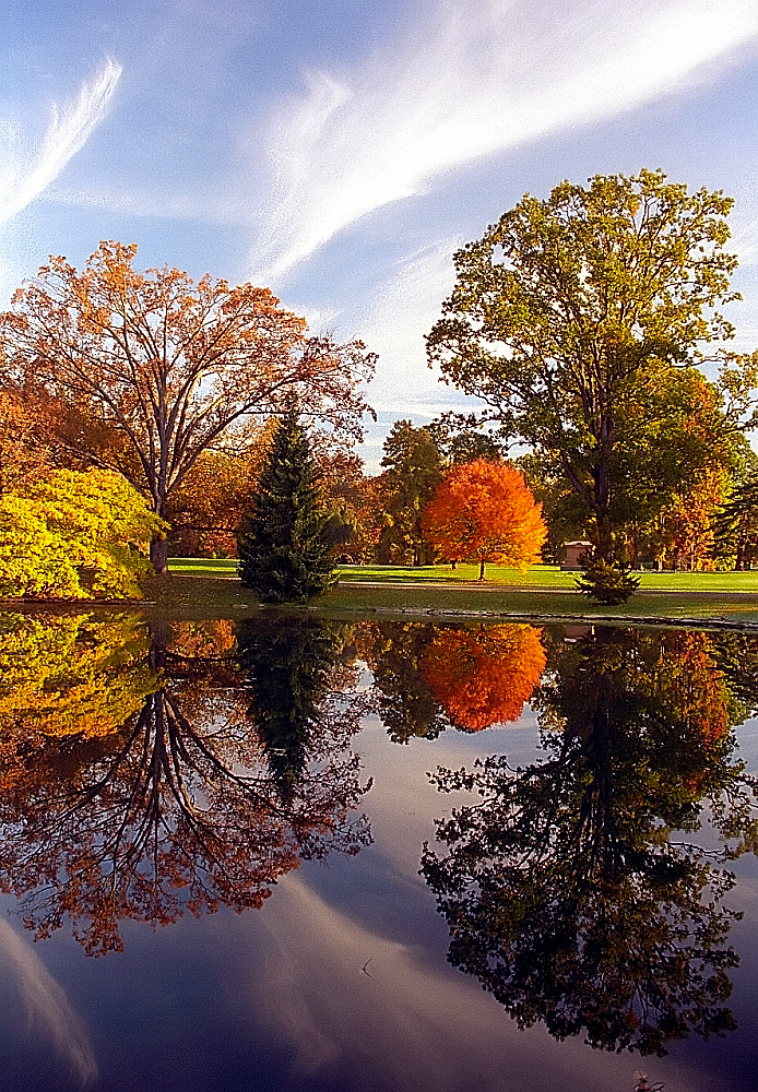 Autumn Reflections – ITIL Tattle