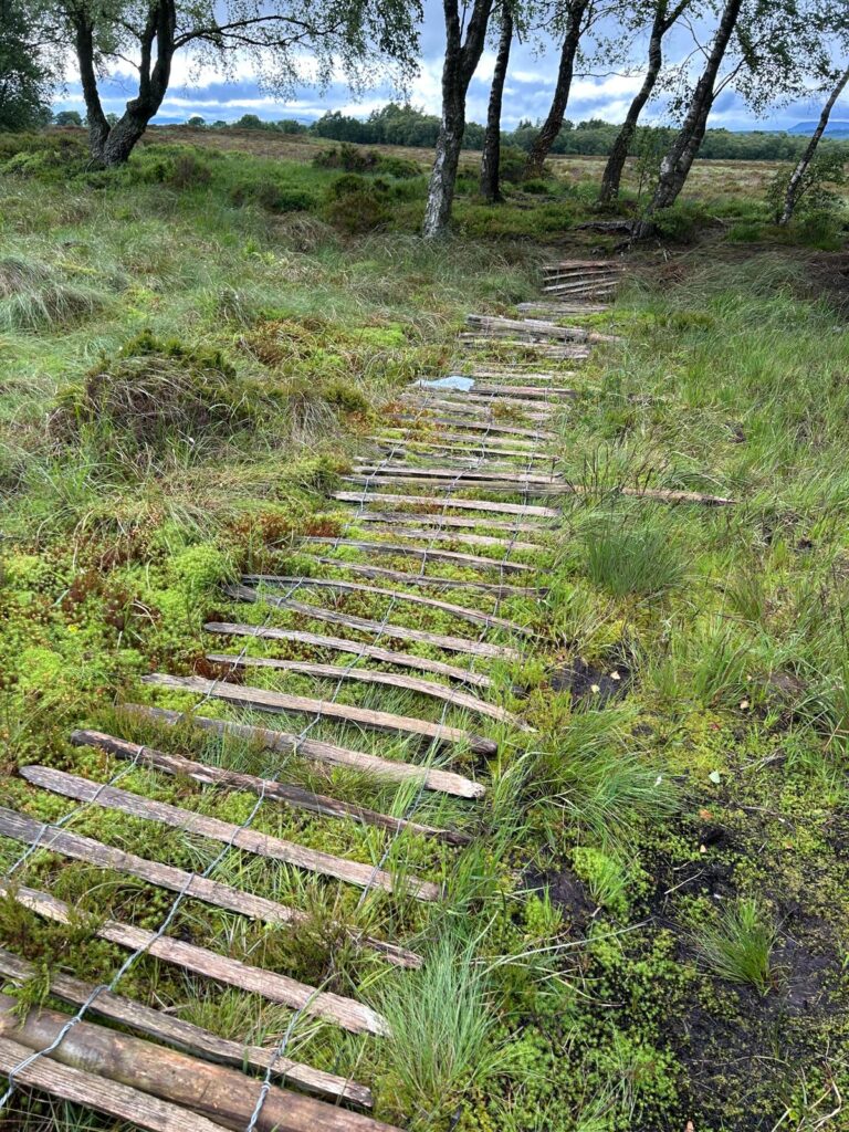 5. Jill – 100 circles