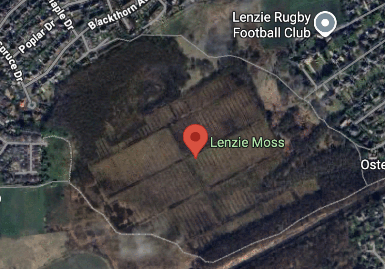 12. Kat – 100 circles