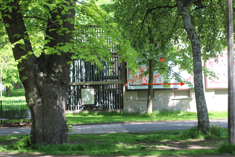 1. Middle Meadow Walk – Lichen Walk