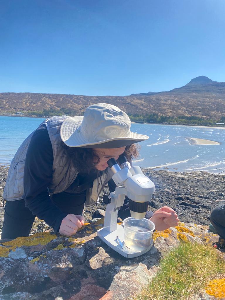 This Must be the Place or Road to Nowhere?: Ontological Awareness in ...