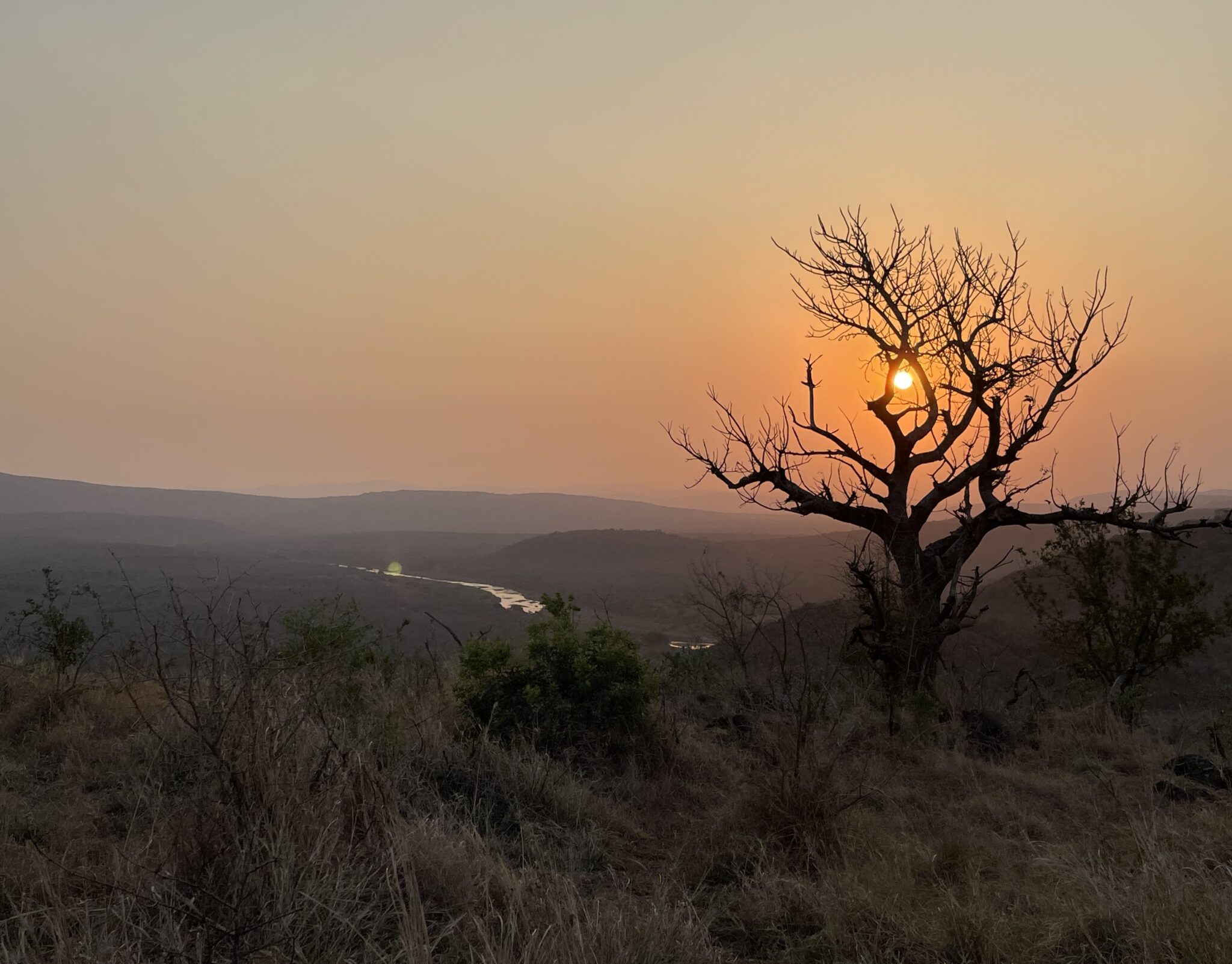 One Health and Conservation Medicine – A blog about staff and student ...