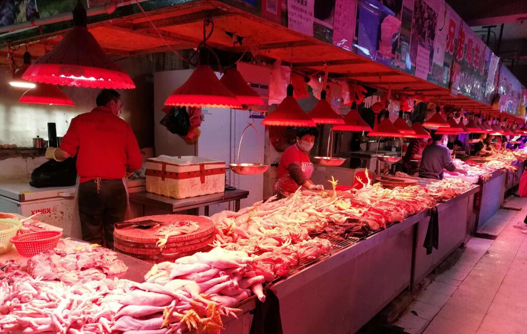 Week1 – Lin Zhang / Lighting Design for Spaces (2022-2023)[SEM2]