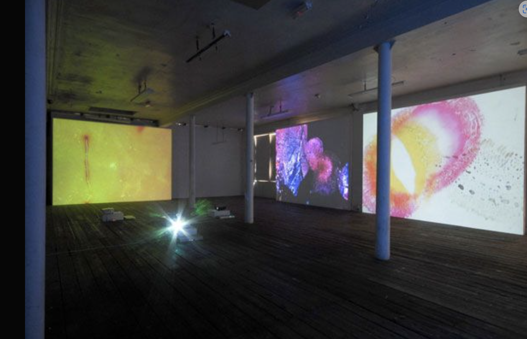 curating context – Hanyun Xue / Curating (2024-2025)[SEM2]