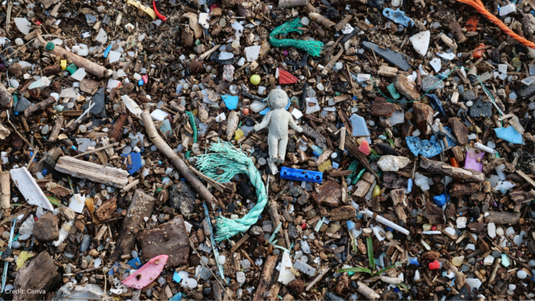 Bali’s Waste Management: Successes, Shortcomings, and the Road Ahead ...