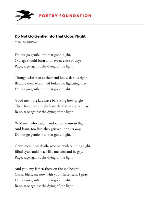 Curating Blog｜🦉Week 11 – Endless Circulation🎡Xiaobao Ye