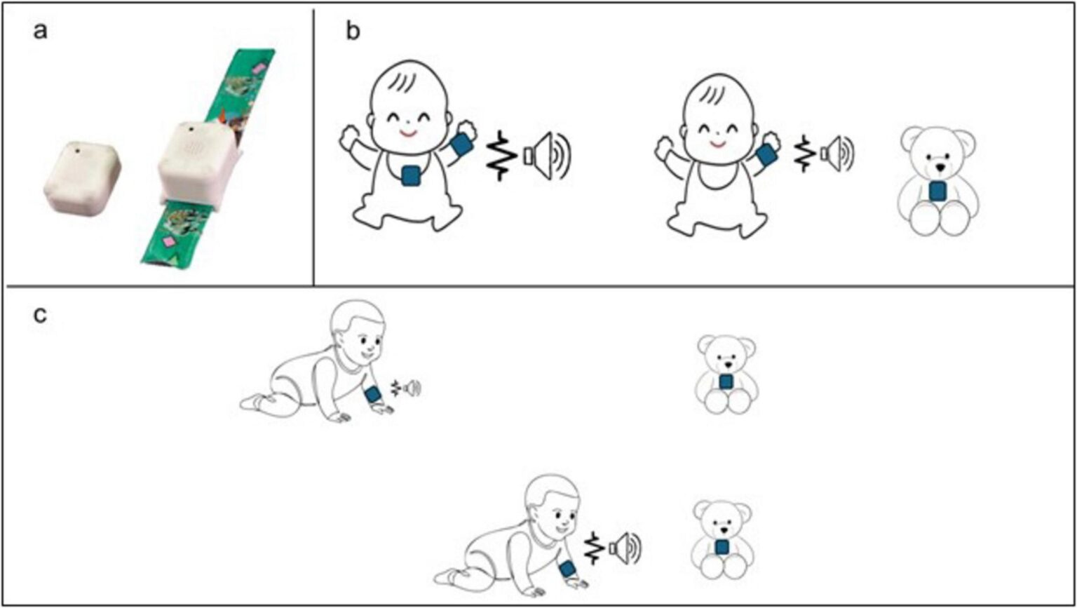 How infants who are blind integrate tactile and auditory information ...