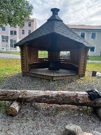 Is it not mad, not to have choice? by Aileen Maughan – Social work at ...