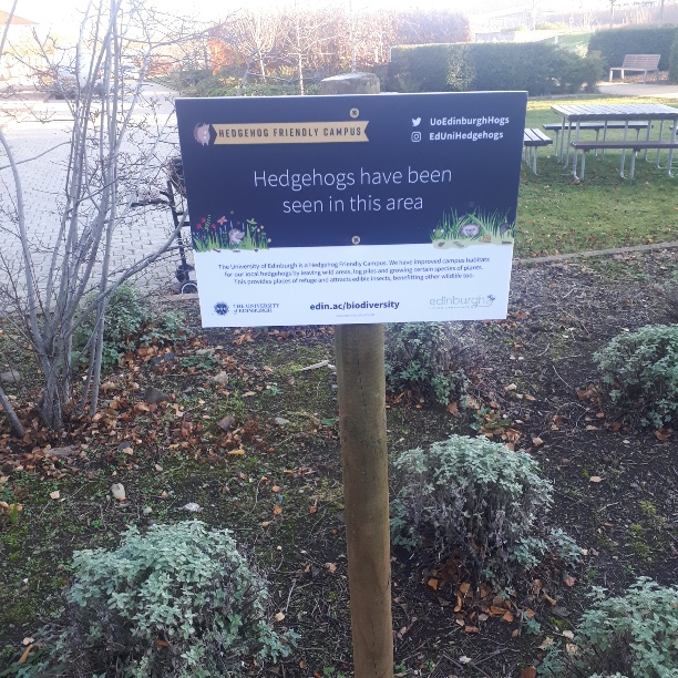 Biodiversity COP15: global targets, local action – Social ...