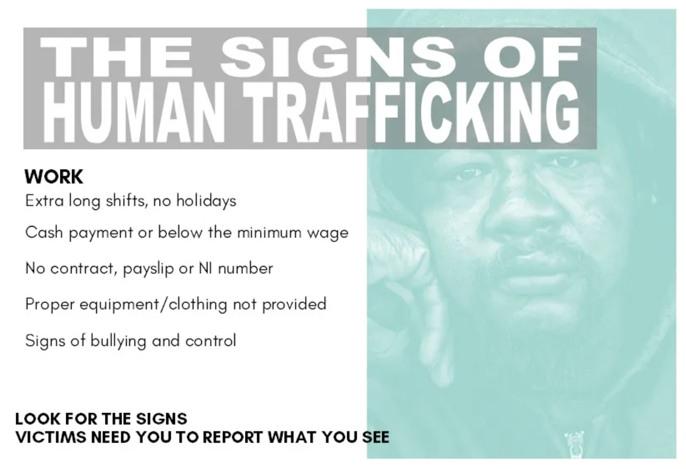 The life-long skills I gained volunteering with Survivors of Human ...