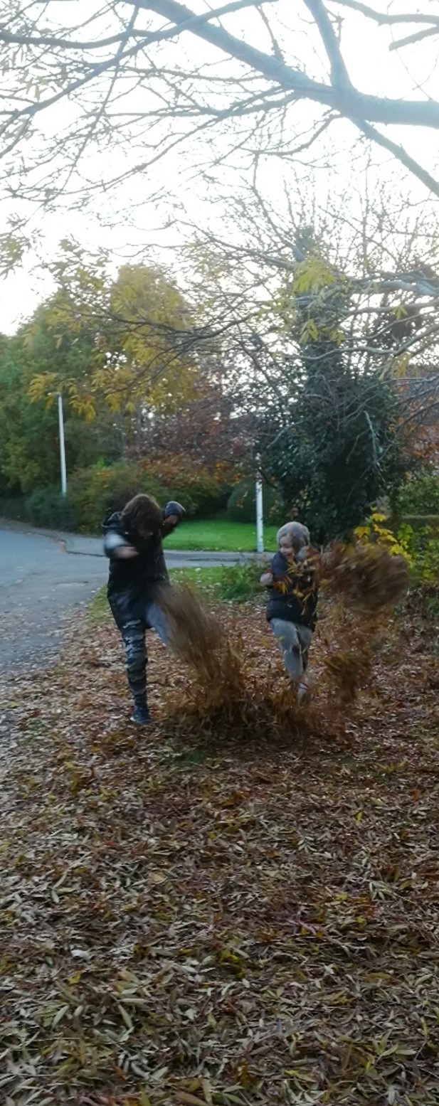 National Tree Week – 25th November to 3rd December – ECRF – Sustainable ...