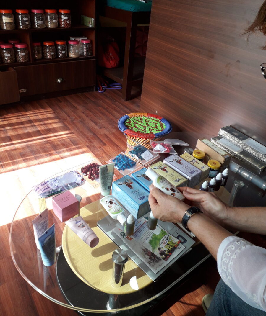 Gallery – Transnational Sowa Rigpa between Europe and South Asia