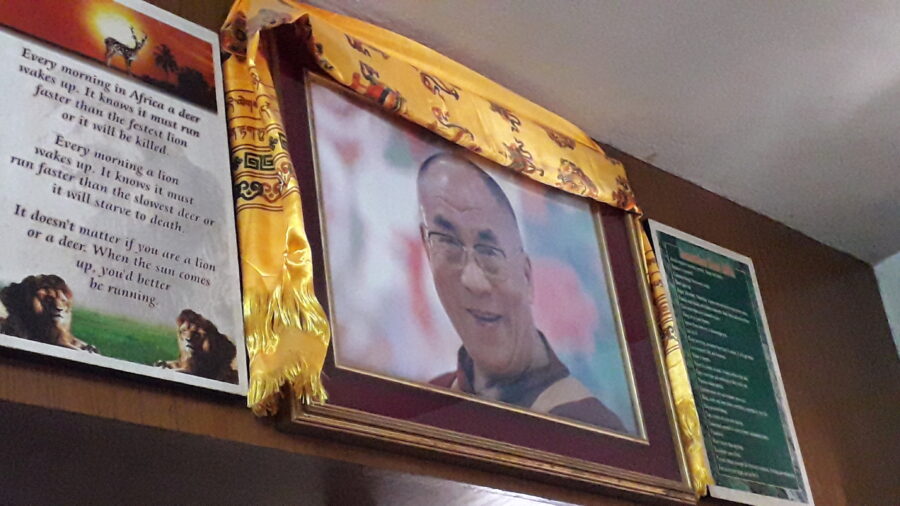 Brief Introduction to Sowa Rigpa – Transnational Sowa Rigpa between ...