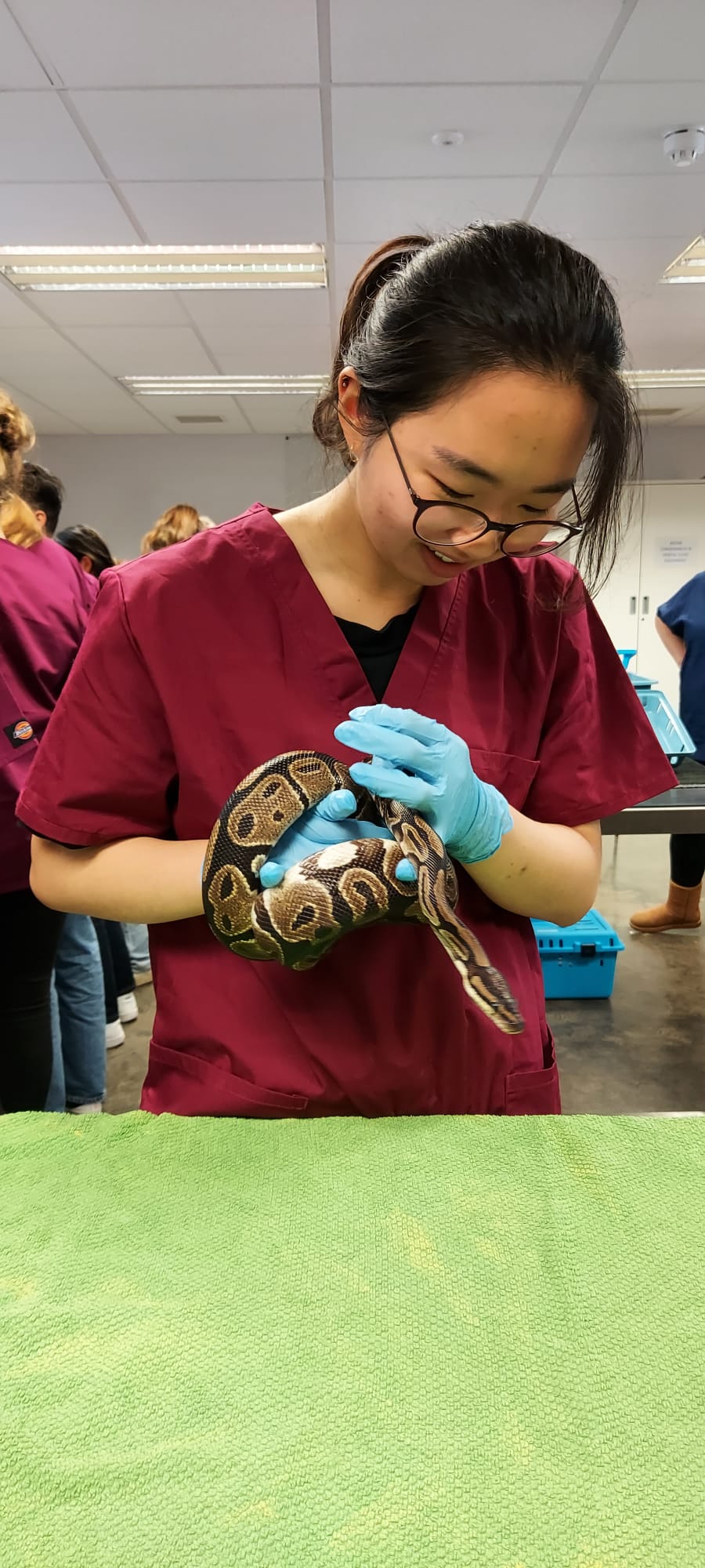 Transition from 1st year to 2nd year of Vet school – Stories from Vet ...